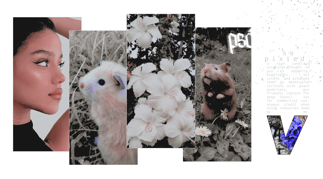 so pixied by vendettapsds by vendettapsds on DeviantArt