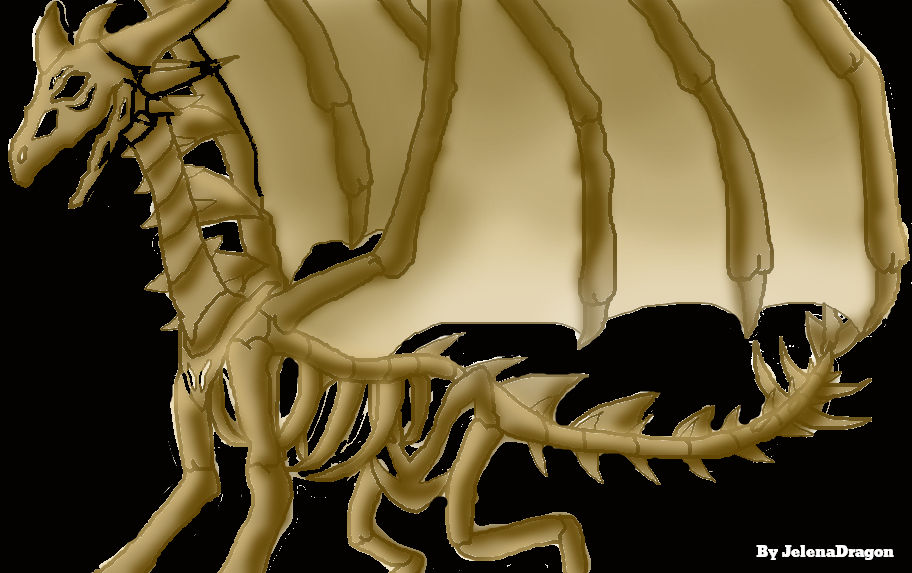 Dragon Skeleton by JelenaDragon on DeviantArt