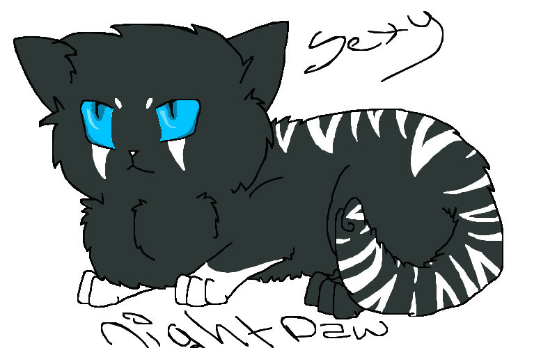 nightpaw by 10036466 on DeviantArt