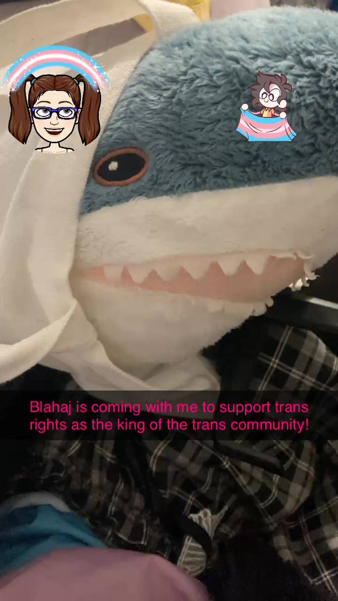 Blahaj Joins the Fight by GeneralPrincessDaisy on DeviantArt