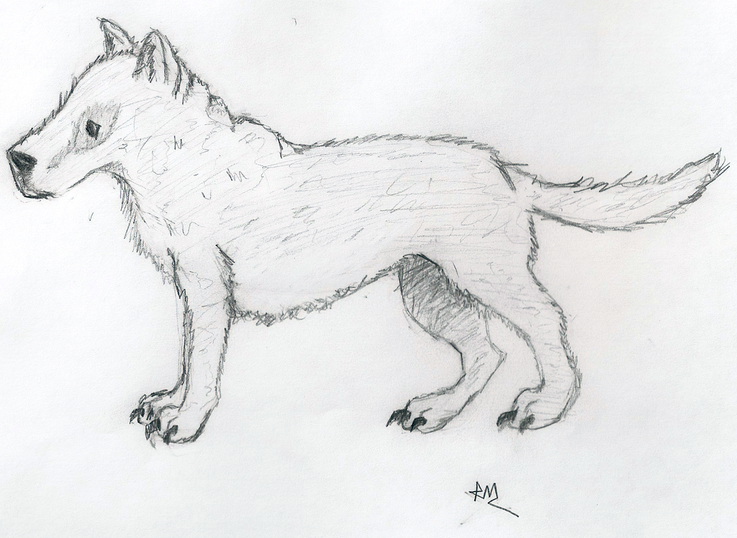 Wolf Doodle by woifrea on DeviantArt
