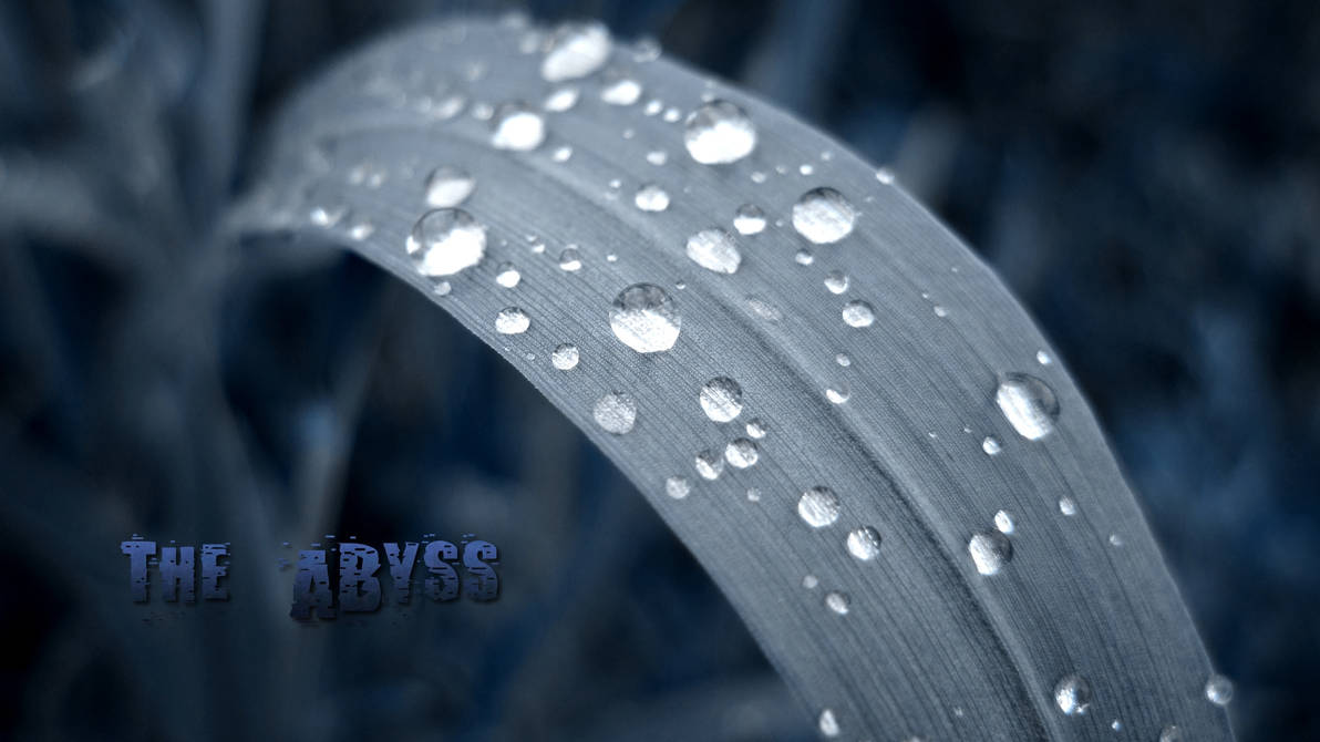 TA Wallpaper 7 The Dark Stalk by Swan88 on DeviantArt