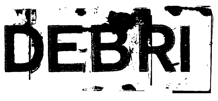 Debri Logo by joezerosum on DeviantArt