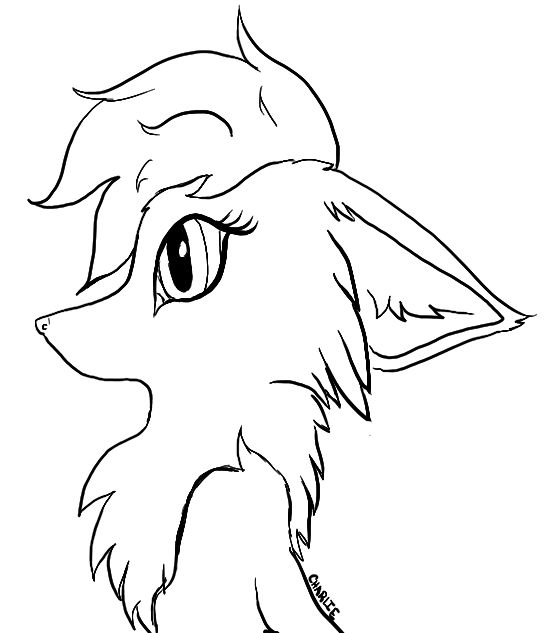 Free Fox Lineart Drawn By Me by WolfWhispers7799 on DeviantArt
