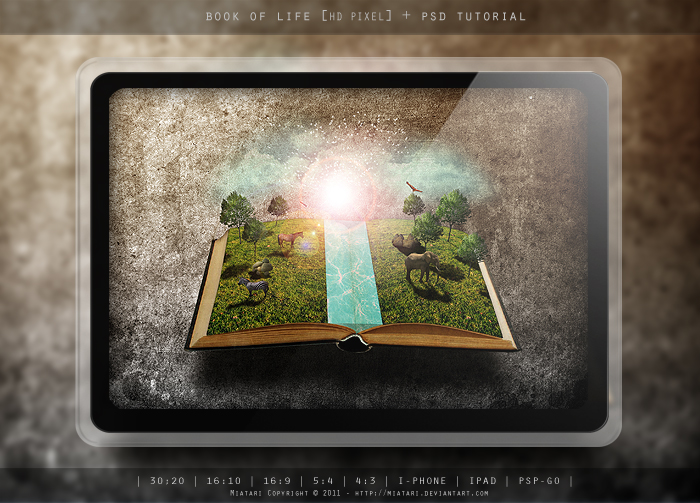 BOOK OF LIFE + PSD by MIATARI on DeviantArt