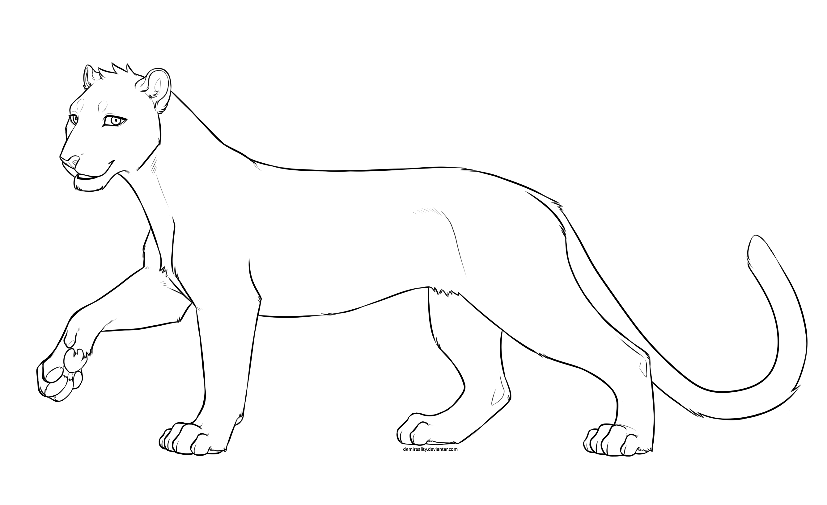 Leopard Line Drawing