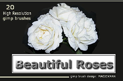 Beautiful Roses for gimp by blueeyedmagickman on DeviantArt