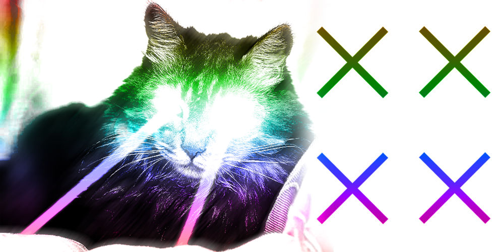 The X Cat by forrestreed on DeviantArt