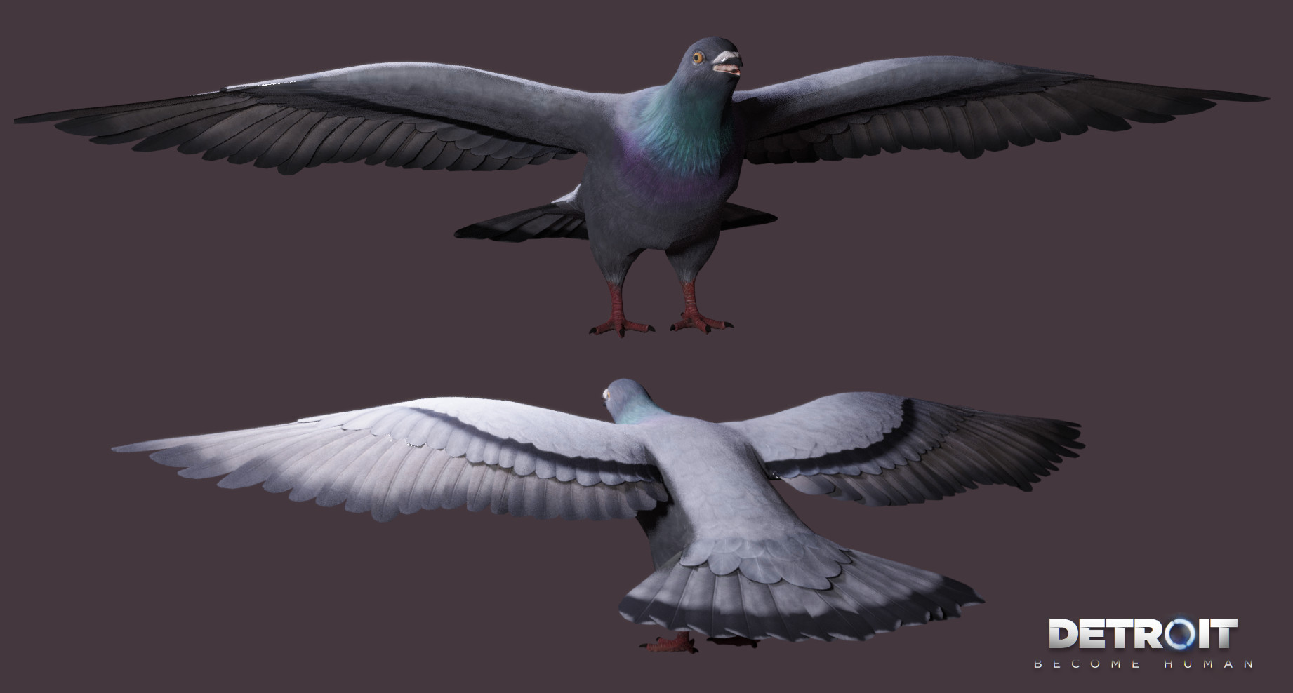 Detroit: Become Human - Pigeon by DaxProduction on DeviantArt