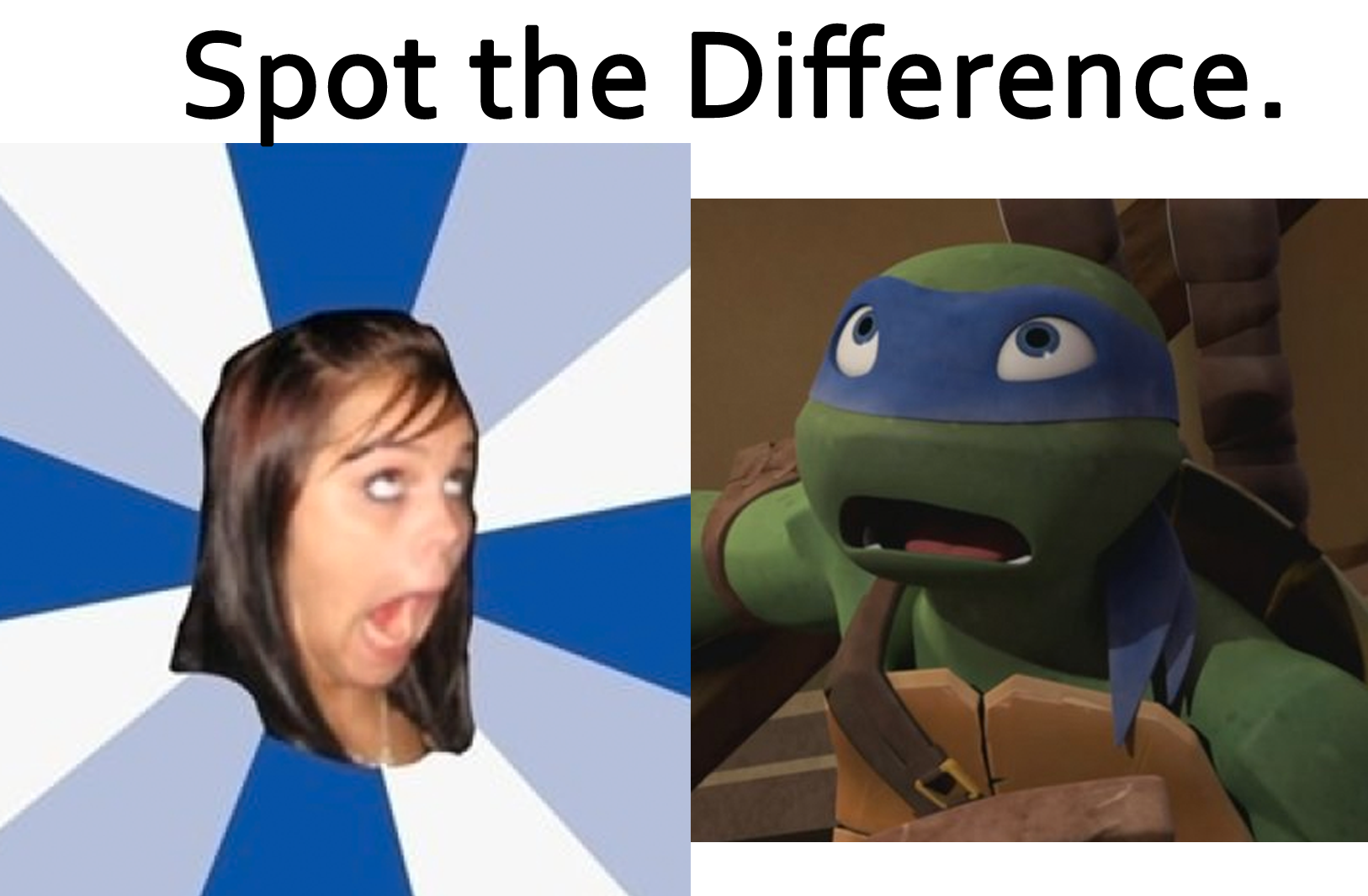 Spot the Difference by VioletOnyx on DeviantArt