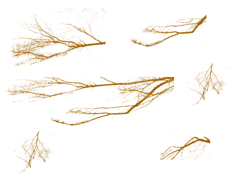 Branch Brushes by cecomp64 on DeviantArt