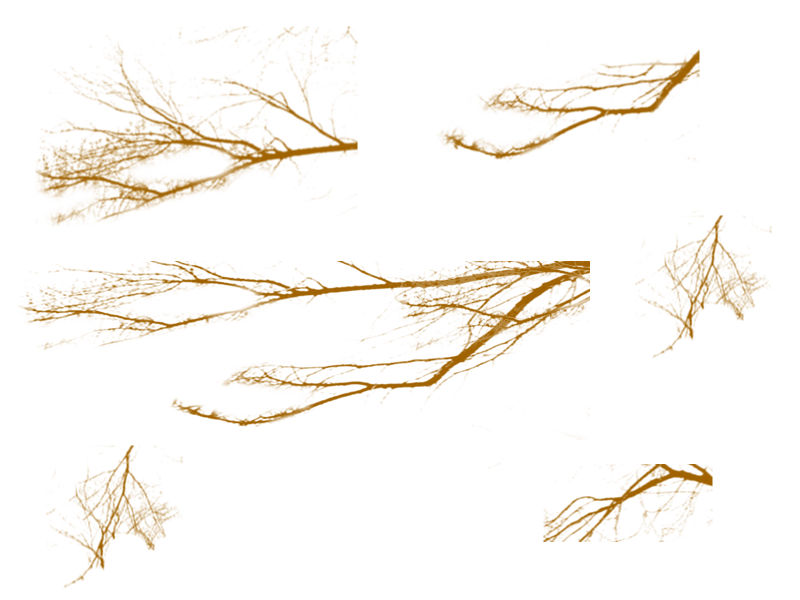 Branch Brushes by cecomp64 on DeviantArt