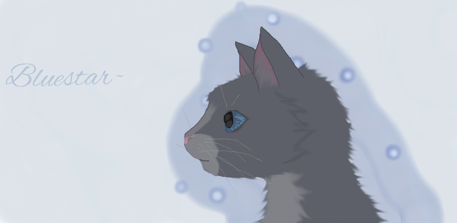 Bluestar leader of Thunderclan by lady5908 on DeviantArt