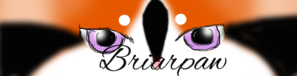 Briarpaw Banner- Gift by anubi-s on DeviantArt