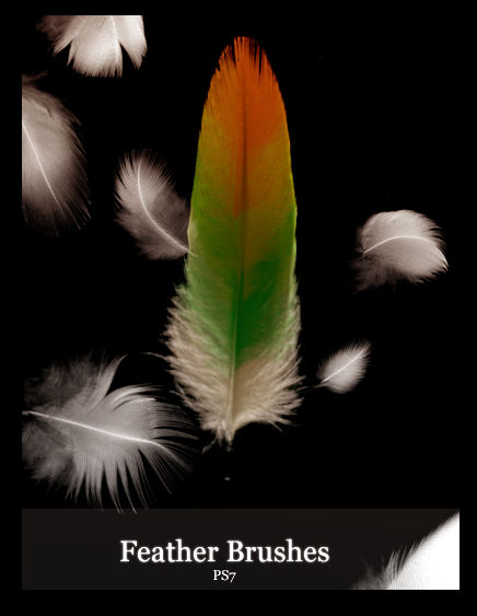 Feather Brushes by MelloStock on DeviantArt