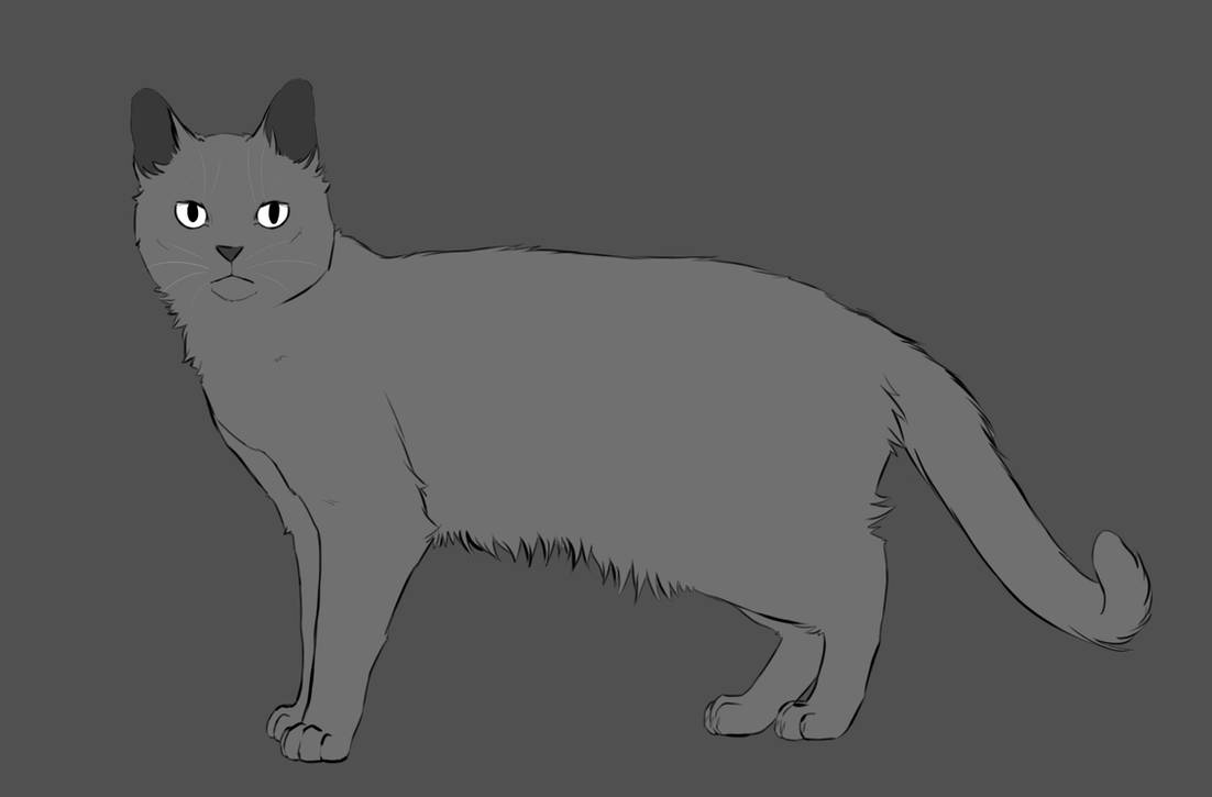 Customizeable Cat Lineart by FIamesong on DeviantArt