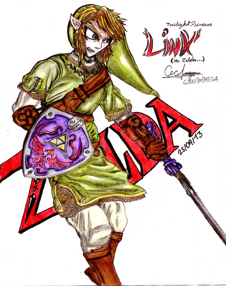 Link Twilight Princess Color by geceron on DeviantArt