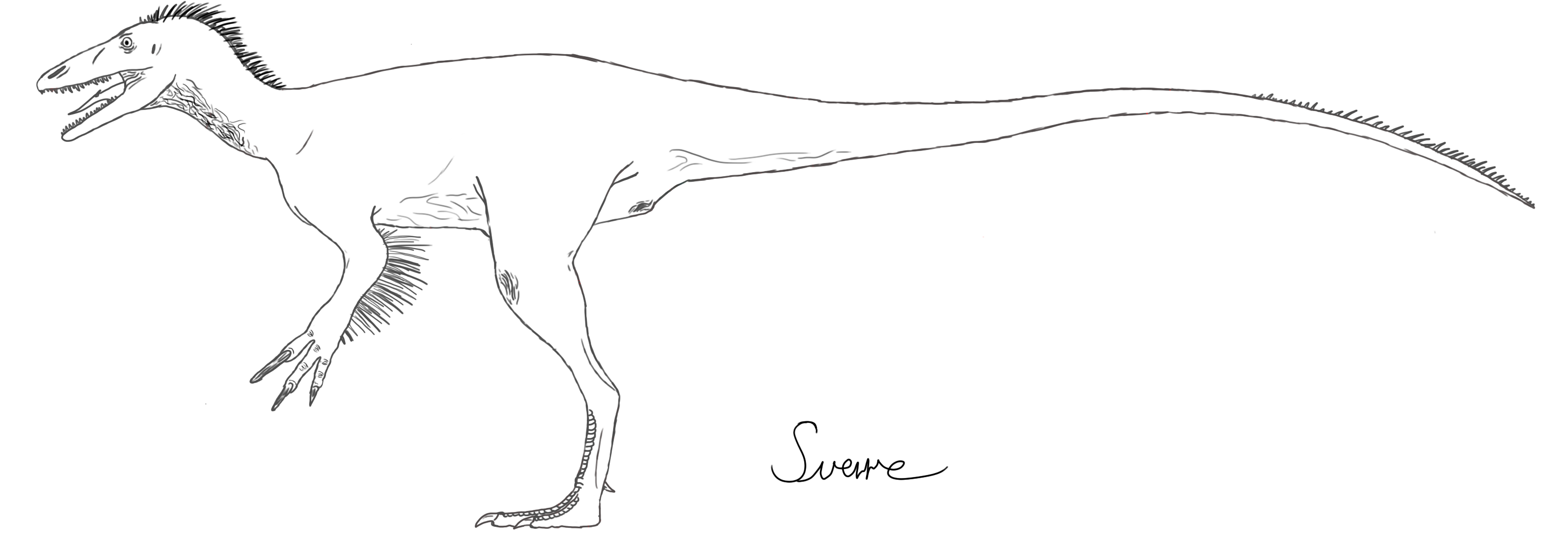 megaraptorid v2 by KaprosuchusDragon on DeviantArt