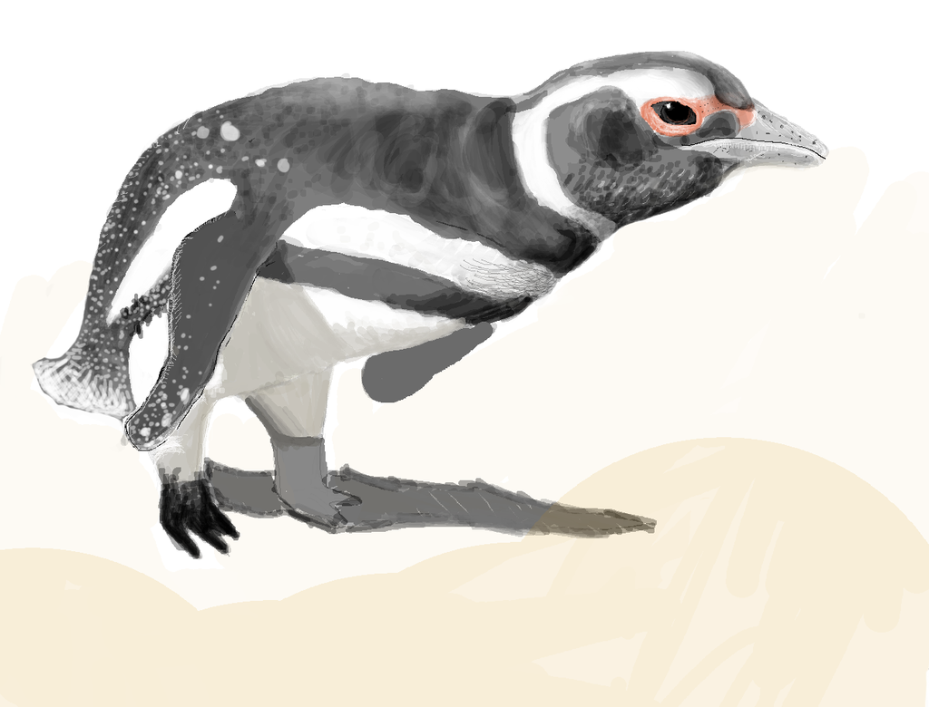 Penguin by lubu-art on DeviantArt