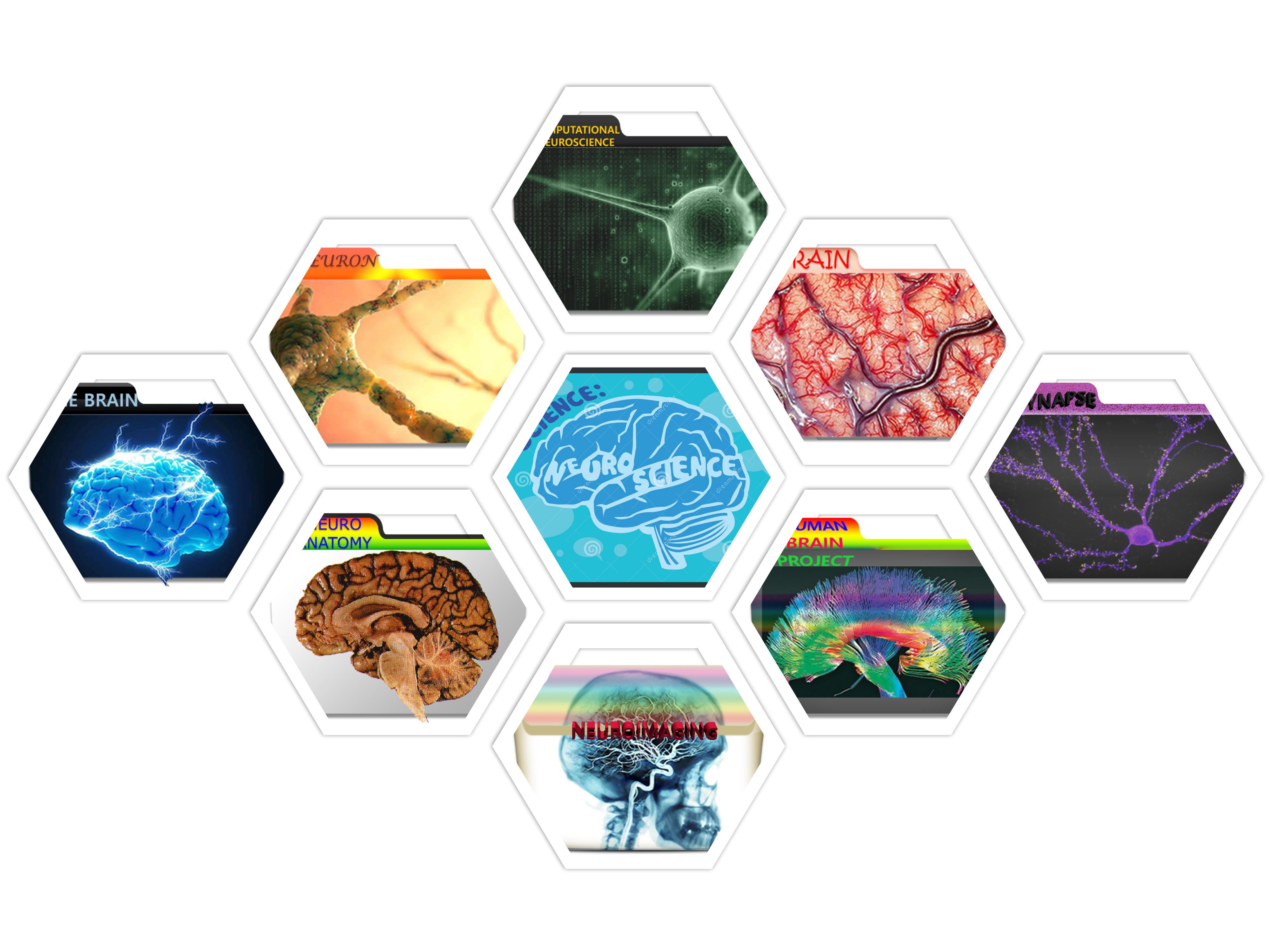 Neuroscience Folder Icon Pack by subramaniankarthik05 on DeviantArt