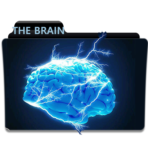 Brain Electric Folder Icon by subramaniankarthik05 on DeviantArt