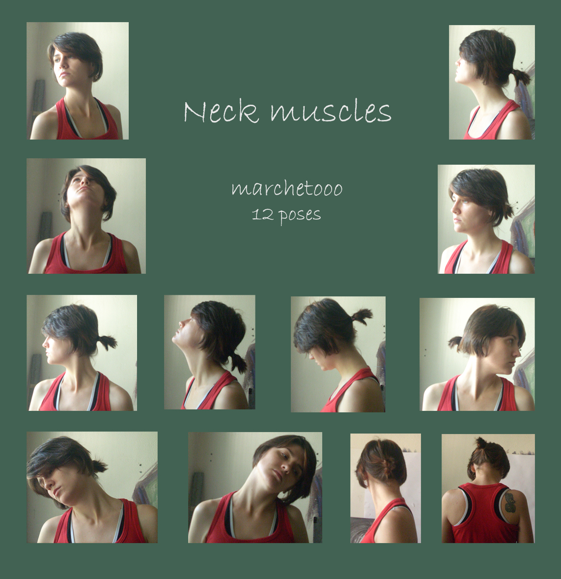 Neck muscles by marchetooo on DeviantArt