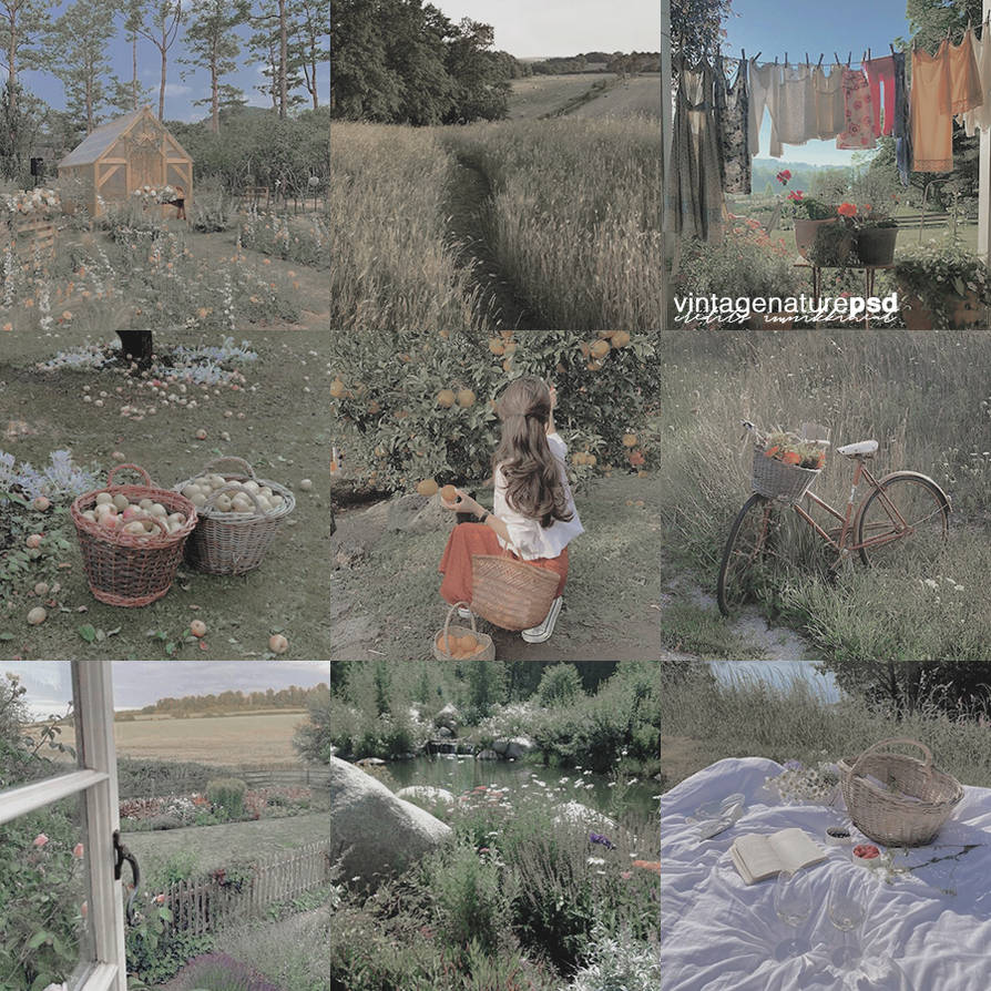 psd 22 vintage nature by imnikkiheat. by imnikkiheat on DeviantArt