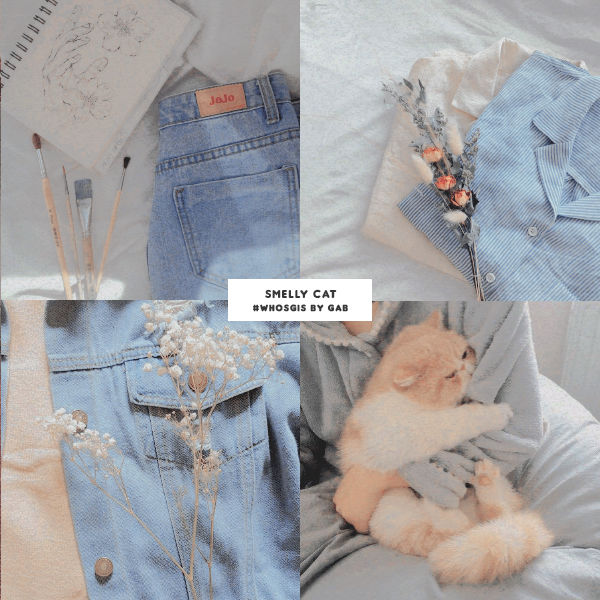 psd 34 smelly cat by imnikkiheat. by imnikkiheat on DeviantArt