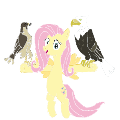 Fluttershy and two of her Birds by Eldelfelle on DeviantArt