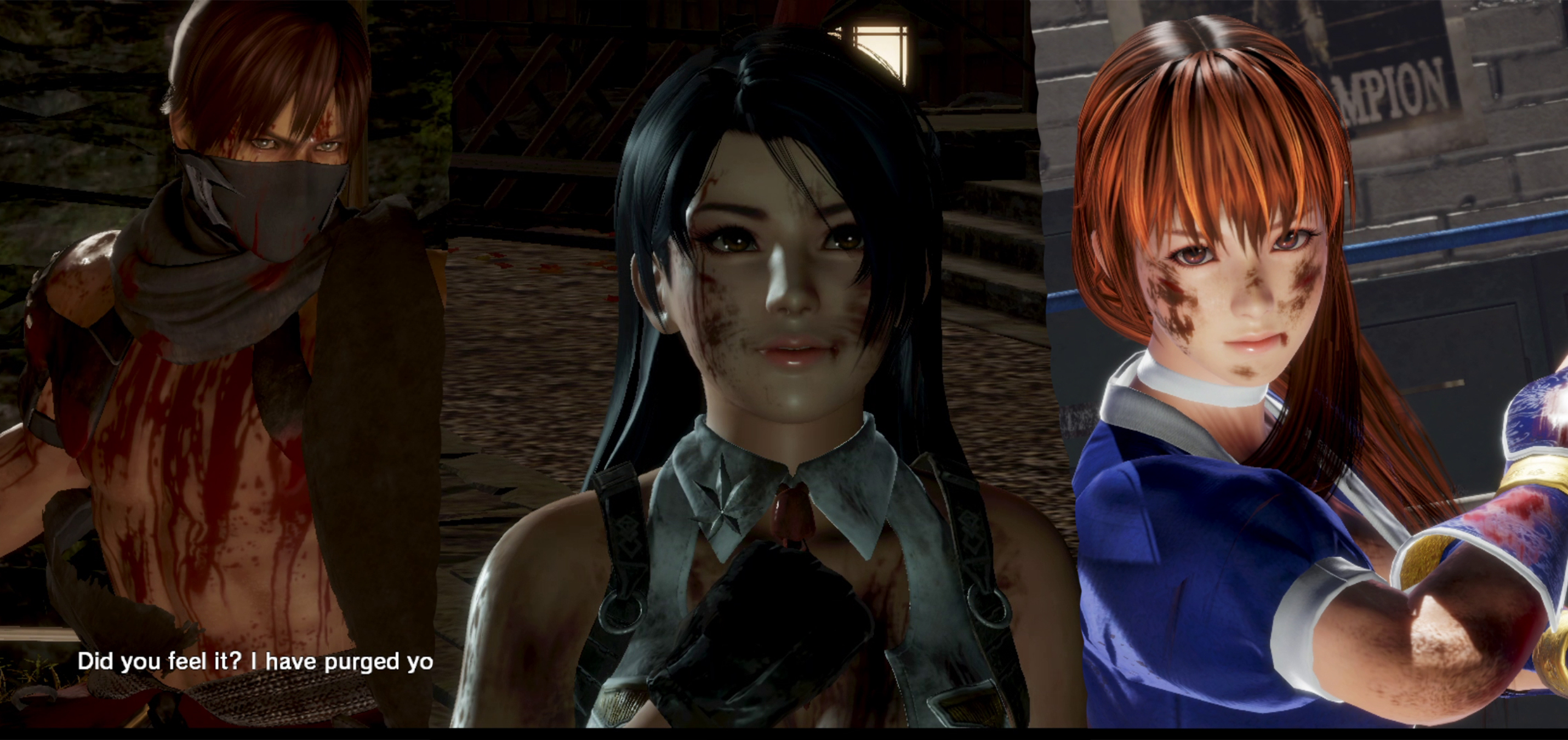 DoA6 More Blood v2.0 Kasumi, Hayabusa, and Momiji by PerfectDark023 on ...