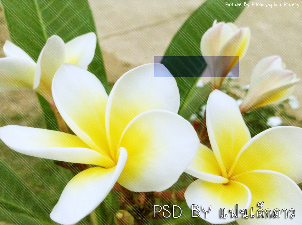 PSD Lilawadee by PraeKyExo on DeviantArt