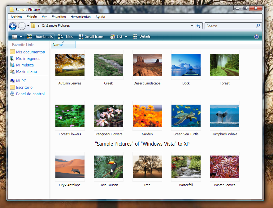 Sample Pictures of Vista to XP by Maxtorade on DeviantArt