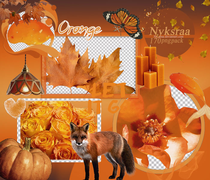 Orange by Nyksraa on DeviantArt