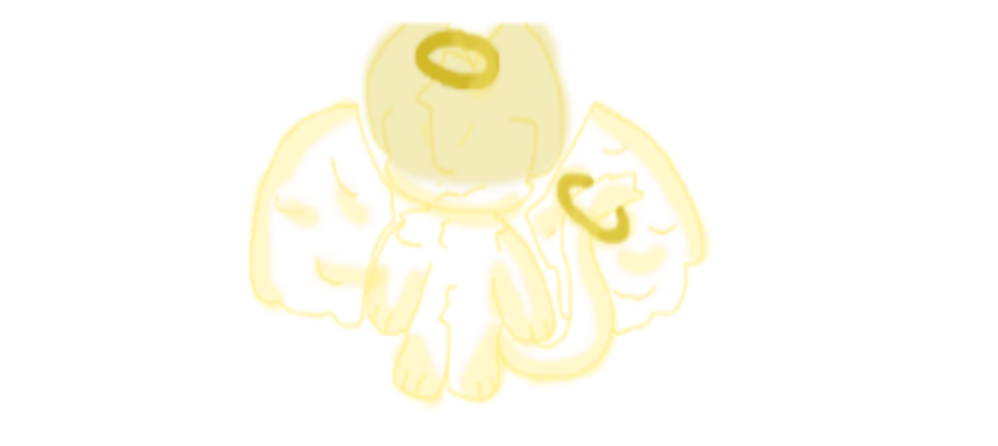 angel cat (phase 2) by hiimpanther on DeviantArt