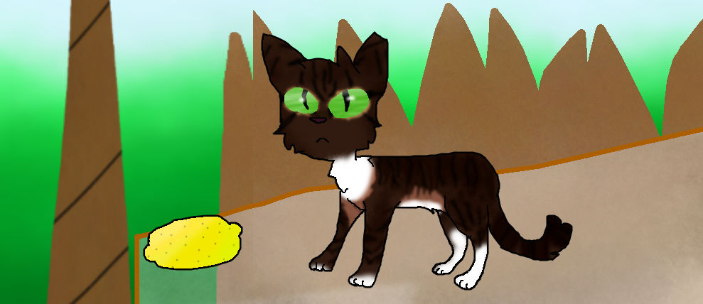 lemon cat by taffywolflccomics on DeviantArt