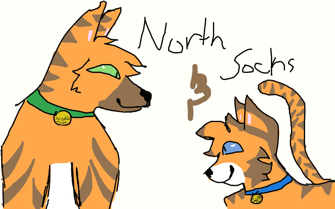 North and socks by GalaxysWhisper on DeviantArt