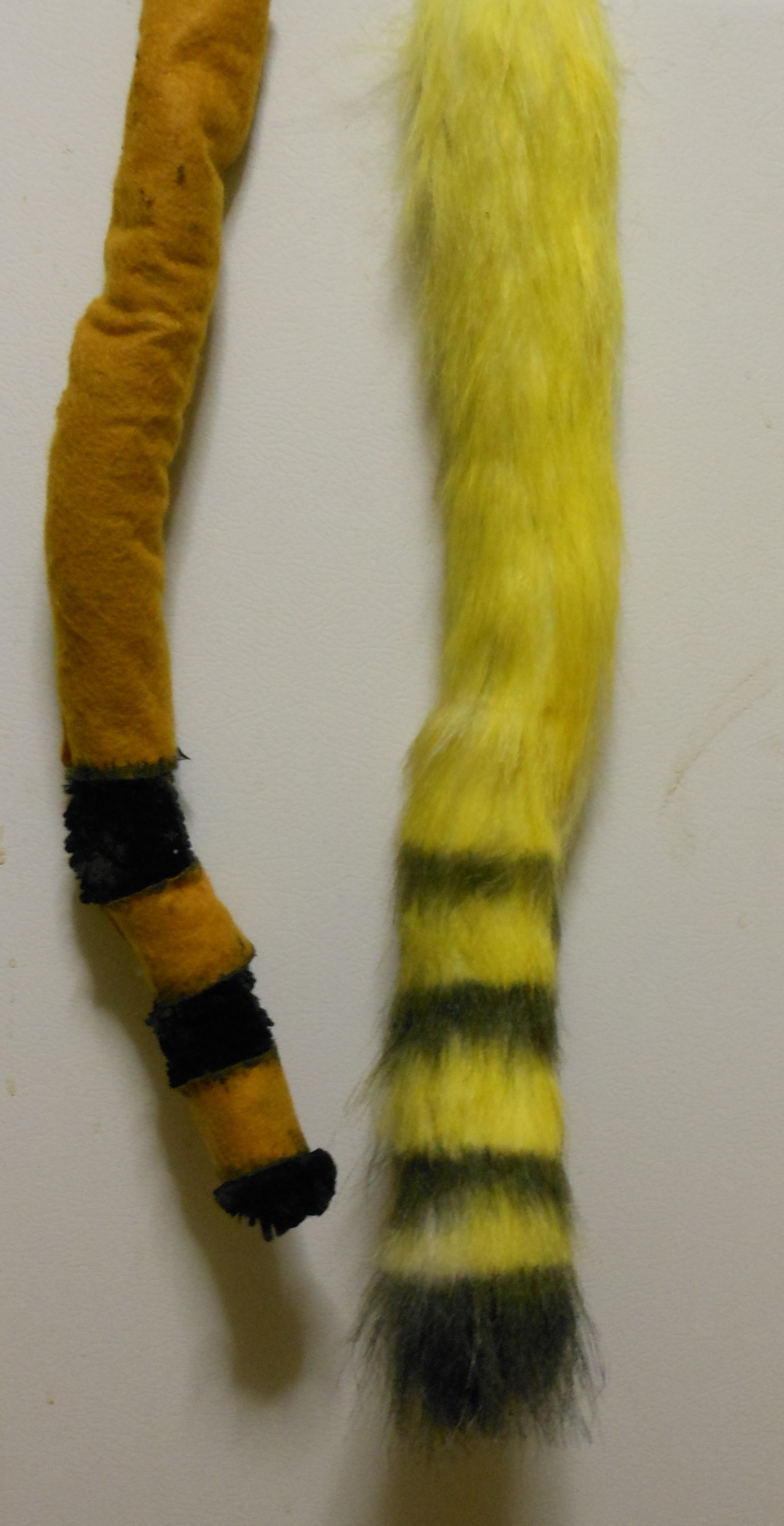 Different Tails by Nights-Eyes on DeviantArt