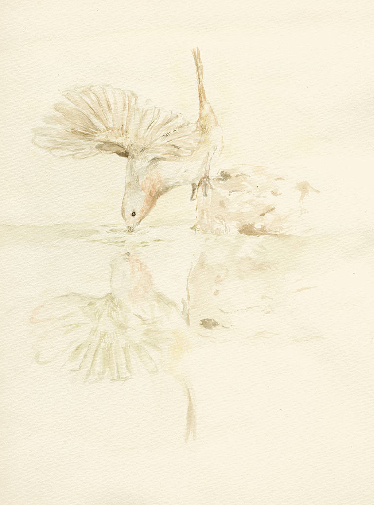 Watercolour bird by tsuna648 on DeviantArt