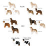 Australian Shepherd Color Patterns by neokeia on DeviantArt