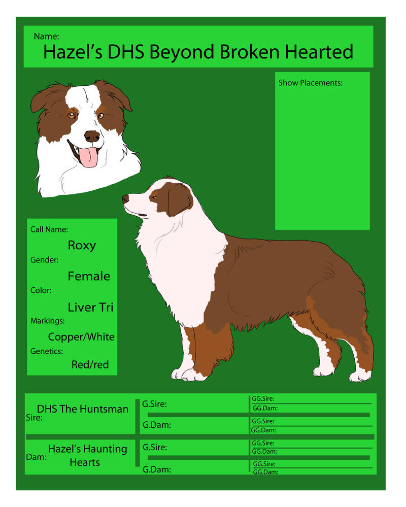 Roxy Reference Sheet By Australianshepkennel On Deviantart