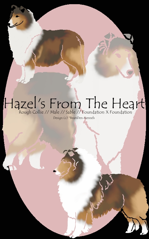 Lion Ref Sheet by AustralianShepKennel on DeviantArt