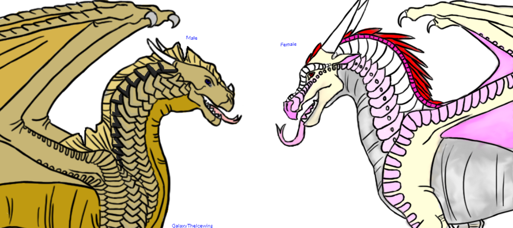 WOF Couple adopts- Sandwing+Nightwing OPEN (Cheap) by GalaxyTheIcewing on DeviantArt