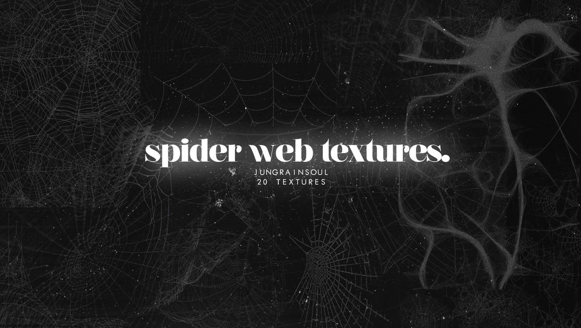 14 SPIDER WEB PACK / textures 'by jungrainsoul by jungrainsoul on ...