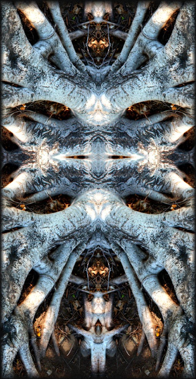 An Elder by SIMONGILBERTHORPE2 on DeviantArt
