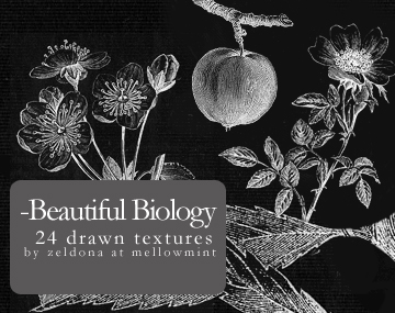 Beautiful Biology by mellowmint on DeviantArt