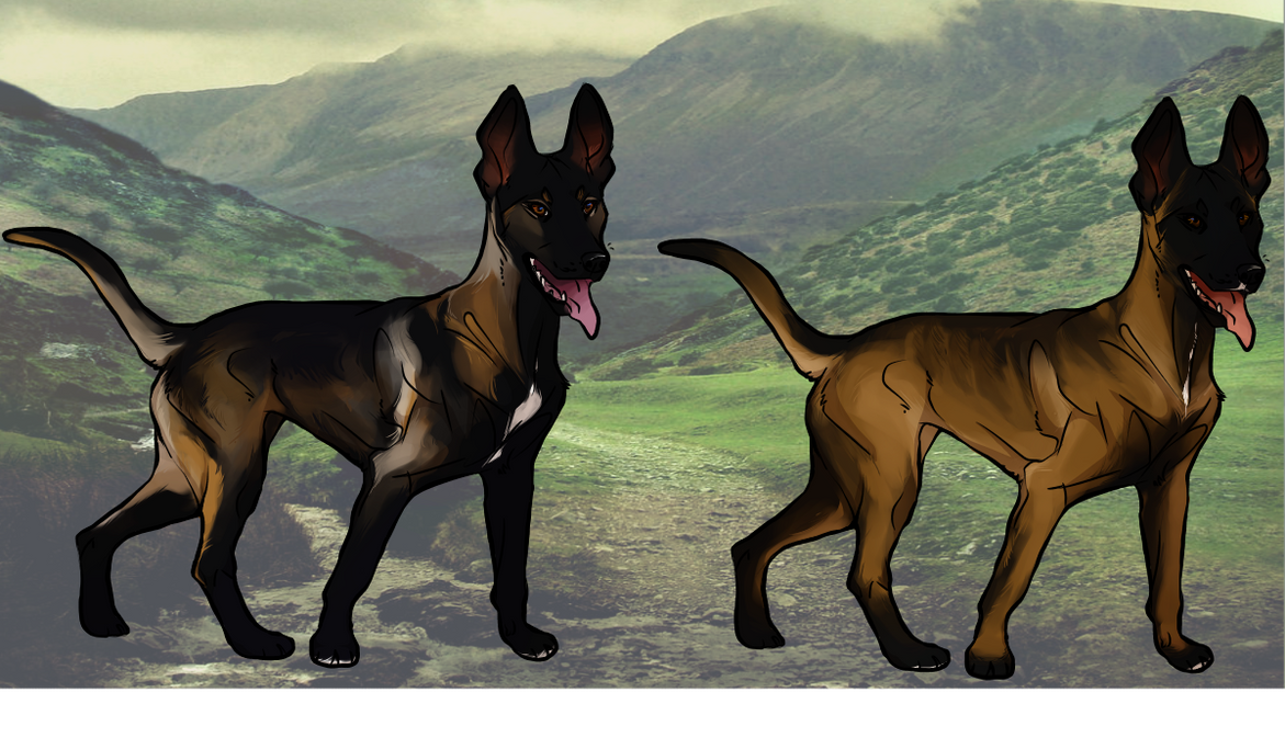 Riptide Dogs by Hastrex on DeviantArt