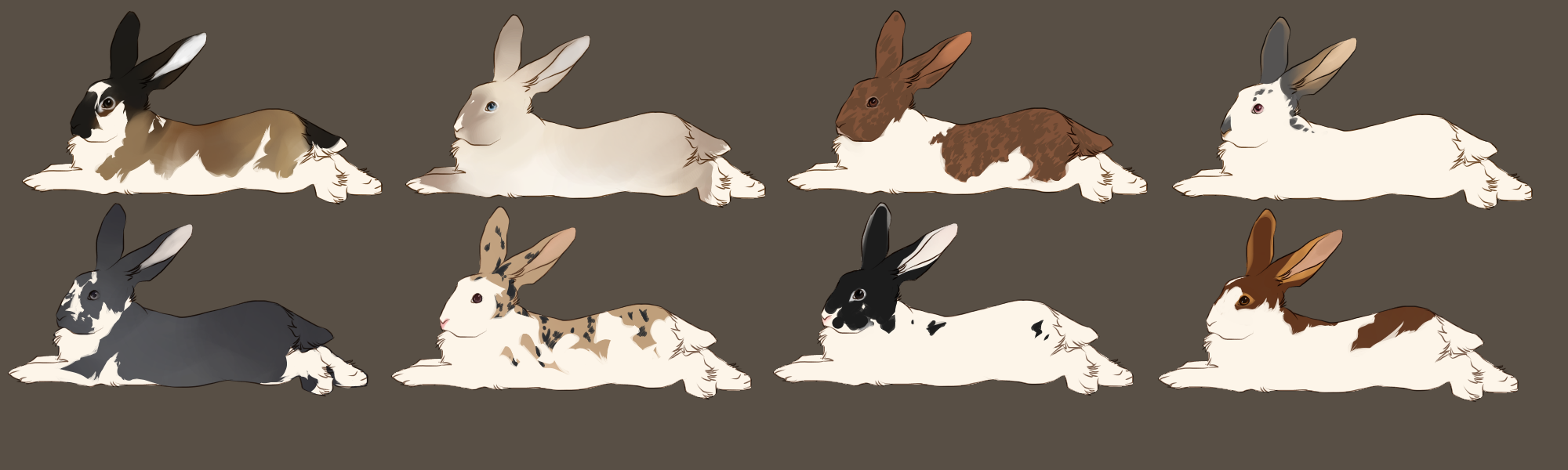 rabbit way by Hastrex on DeviantArt