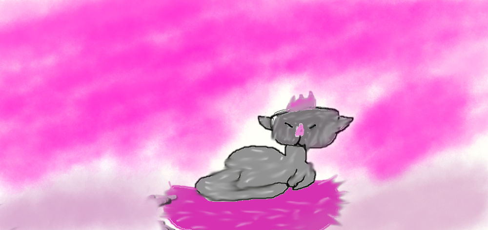 princess cat by Foxyarts2 on DeviantArt