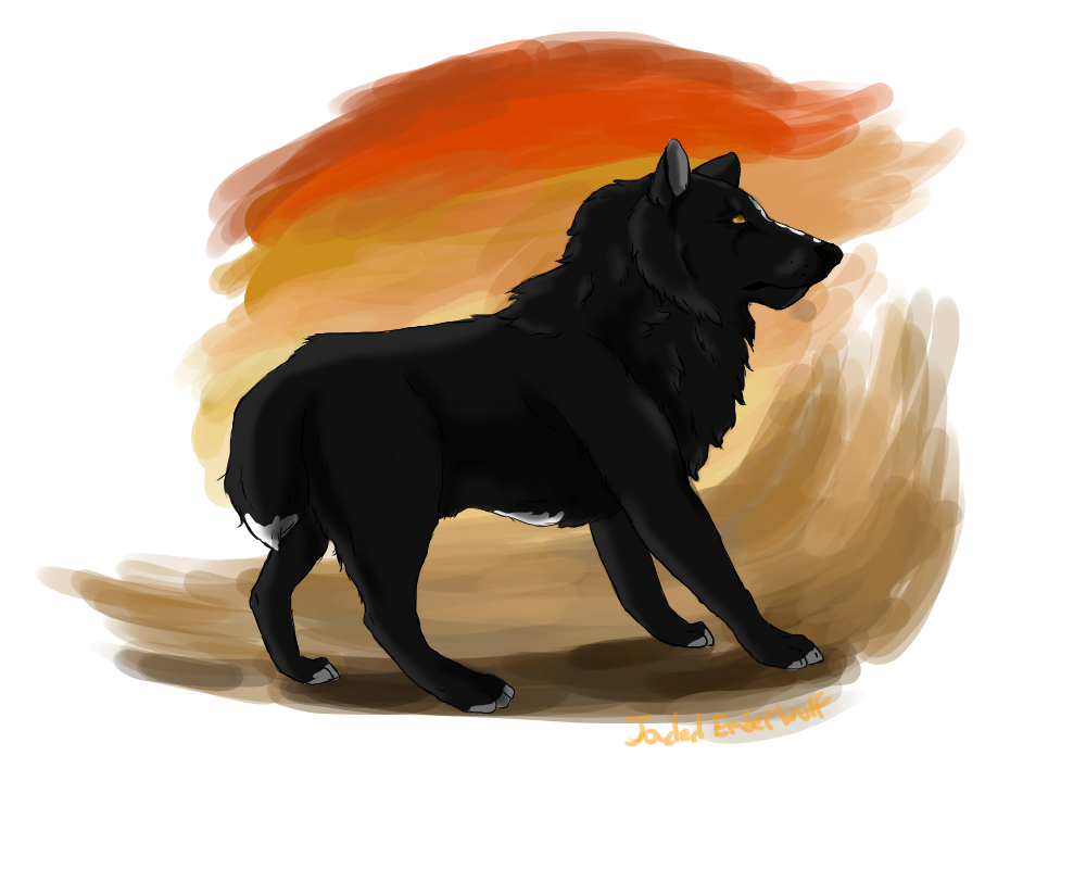 Chubby Crow by JadedEmberWolf on DeviantArt