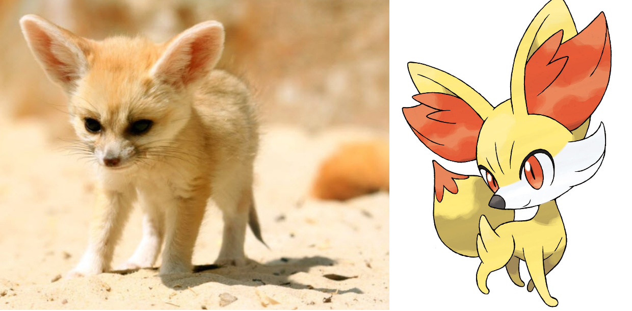 Fennekin Fennec fox by Fennekin2000 on DeviantArt